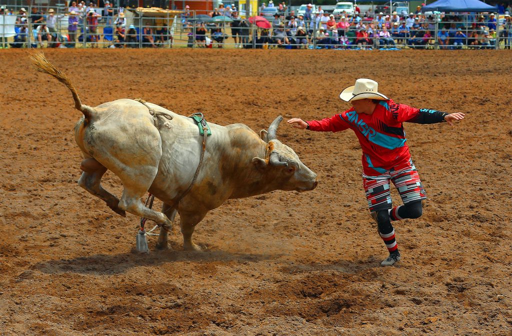 Dancing with the bull - Exibart Street