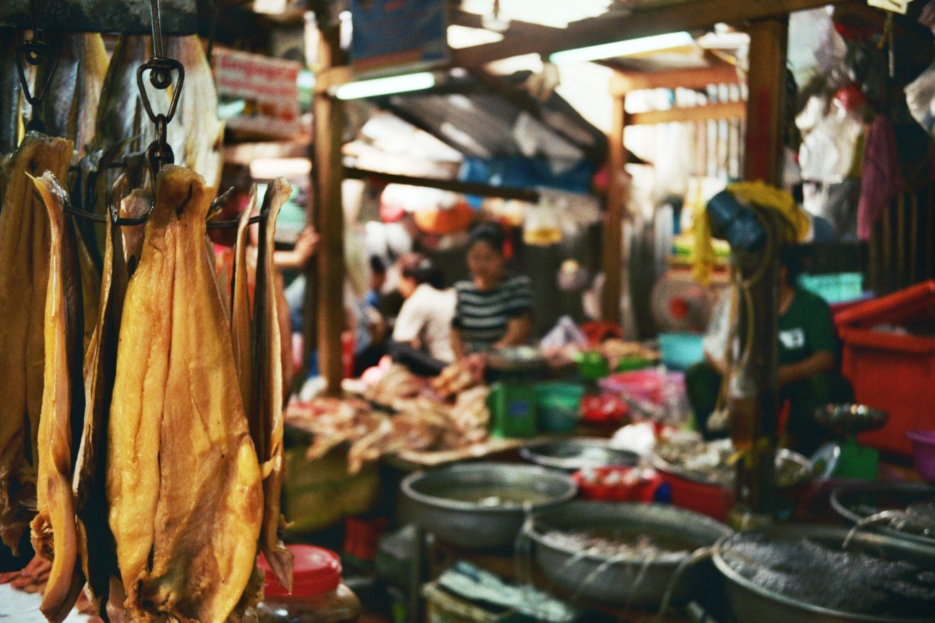 Lao fish - Exibart Street