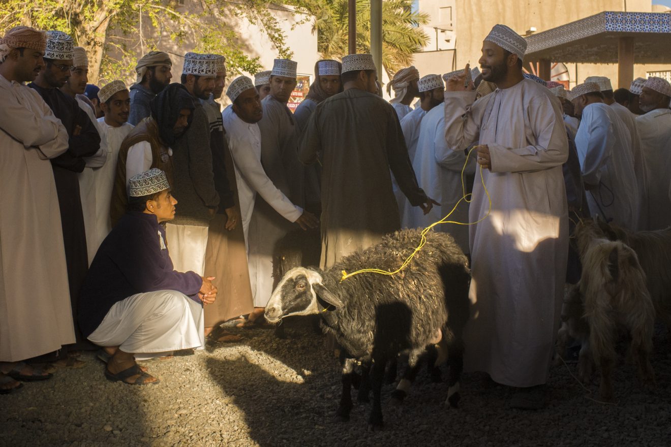 The Goat Trader - Exibart Street
