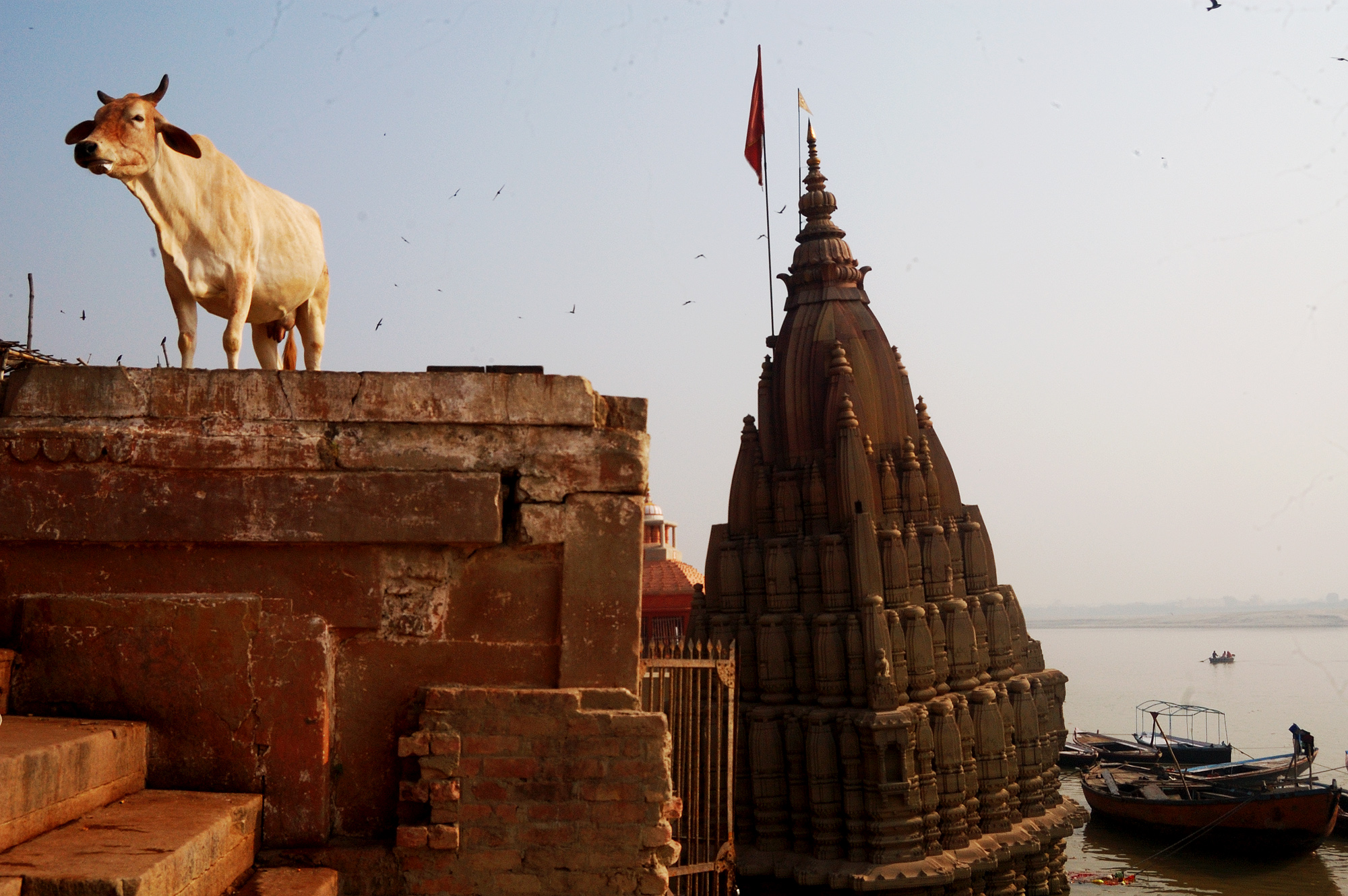 VARANASI - Exibart Street