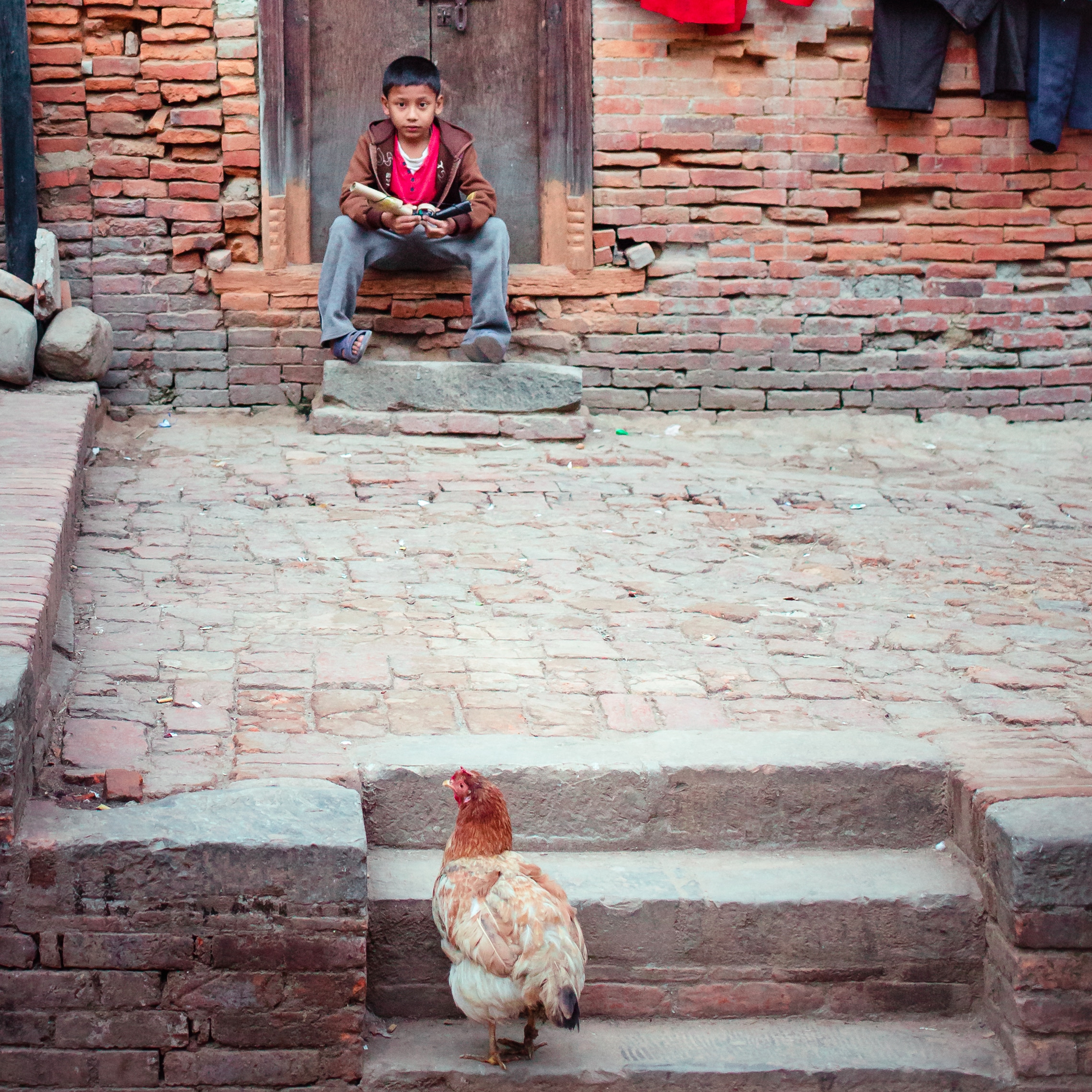 boy and chicken - Exibart Street
